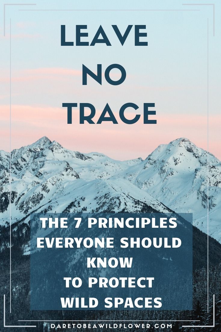 What are the Leave No Trace 7 Principles? | Dare To Be A Wildflower