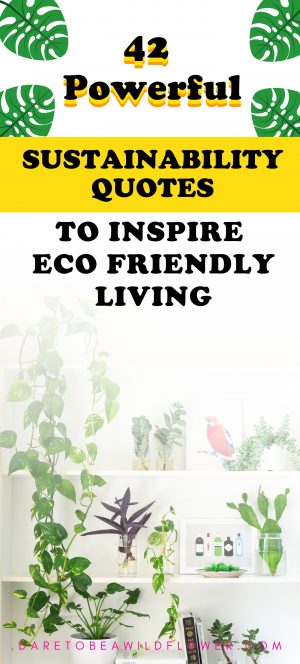 42 Powerful Sustainability Quotes To Inspire Eco Friendly Living | Dare ...